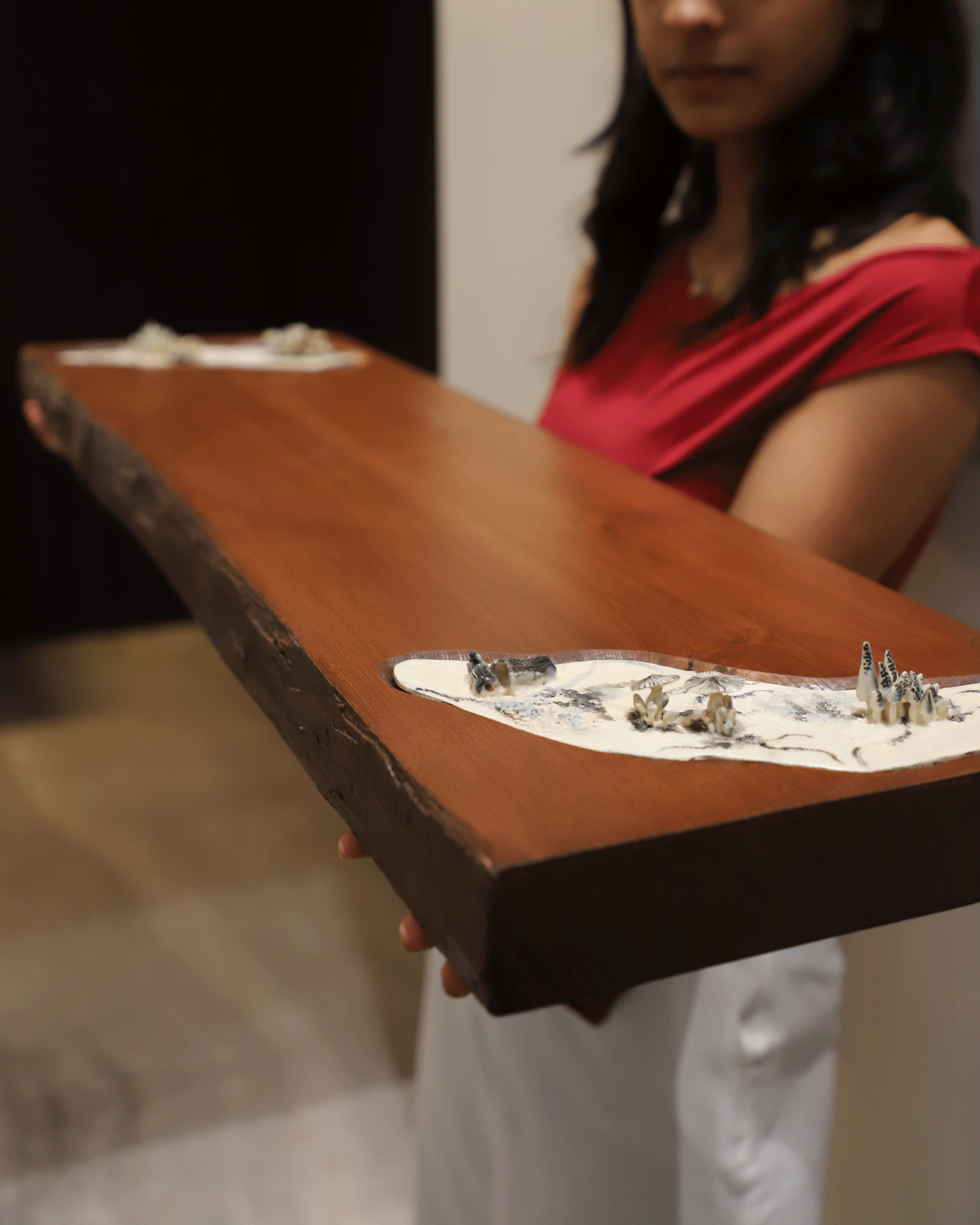 The understory ledge – Studio Aaheli